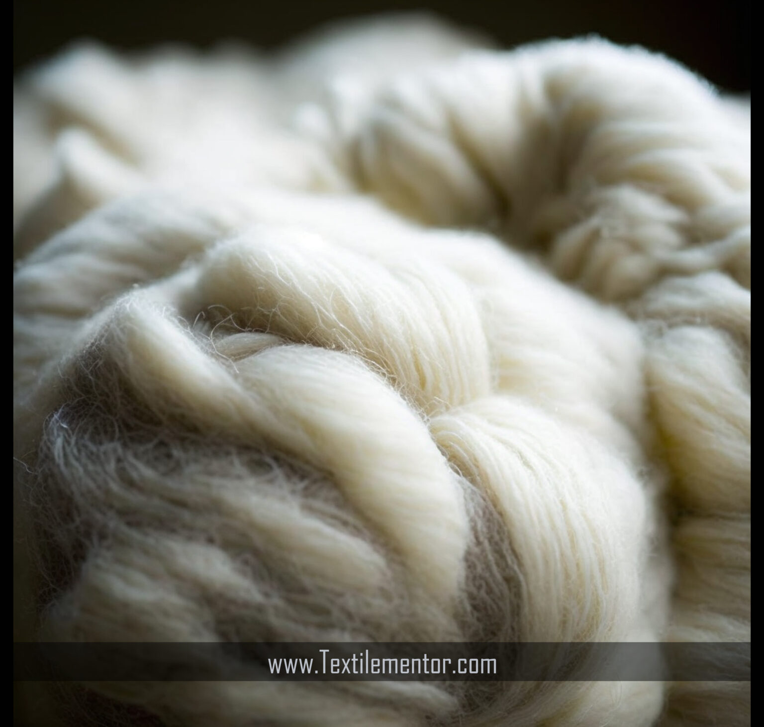 "Textile Fibers Everything You Need To Know About: